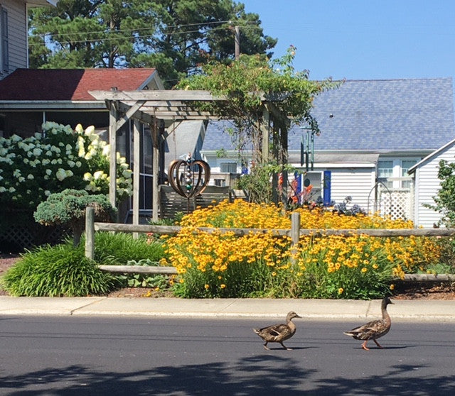 It really IS all about the journey, not the destination – Angel Chatter